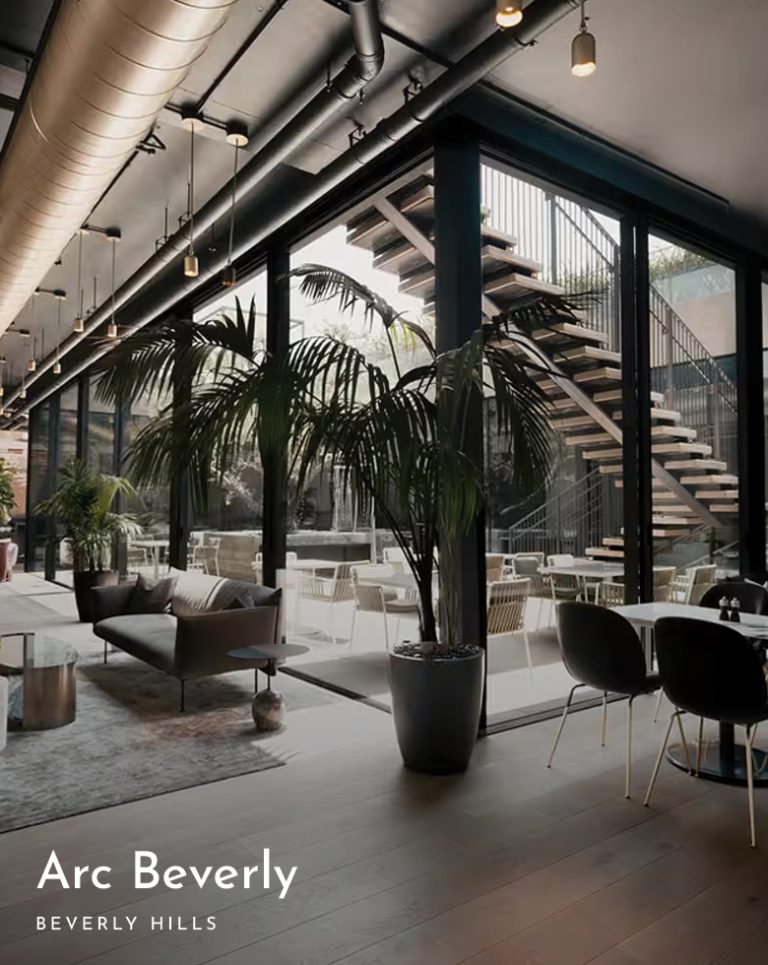 Sonato Alliance - The Jacquelyn