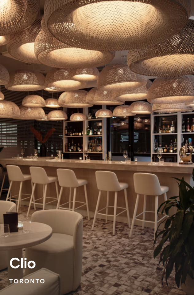 Sonato Alliance - The Jacquelyn