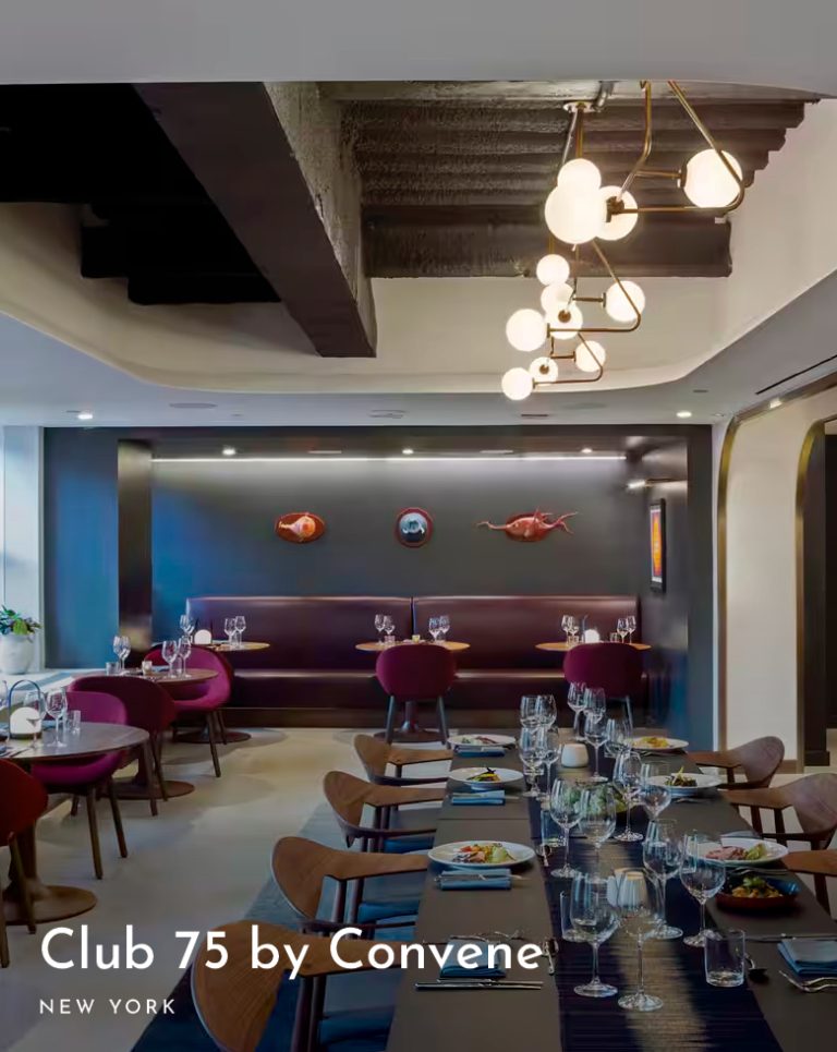 Sonato Alliance - The Jacquelyn