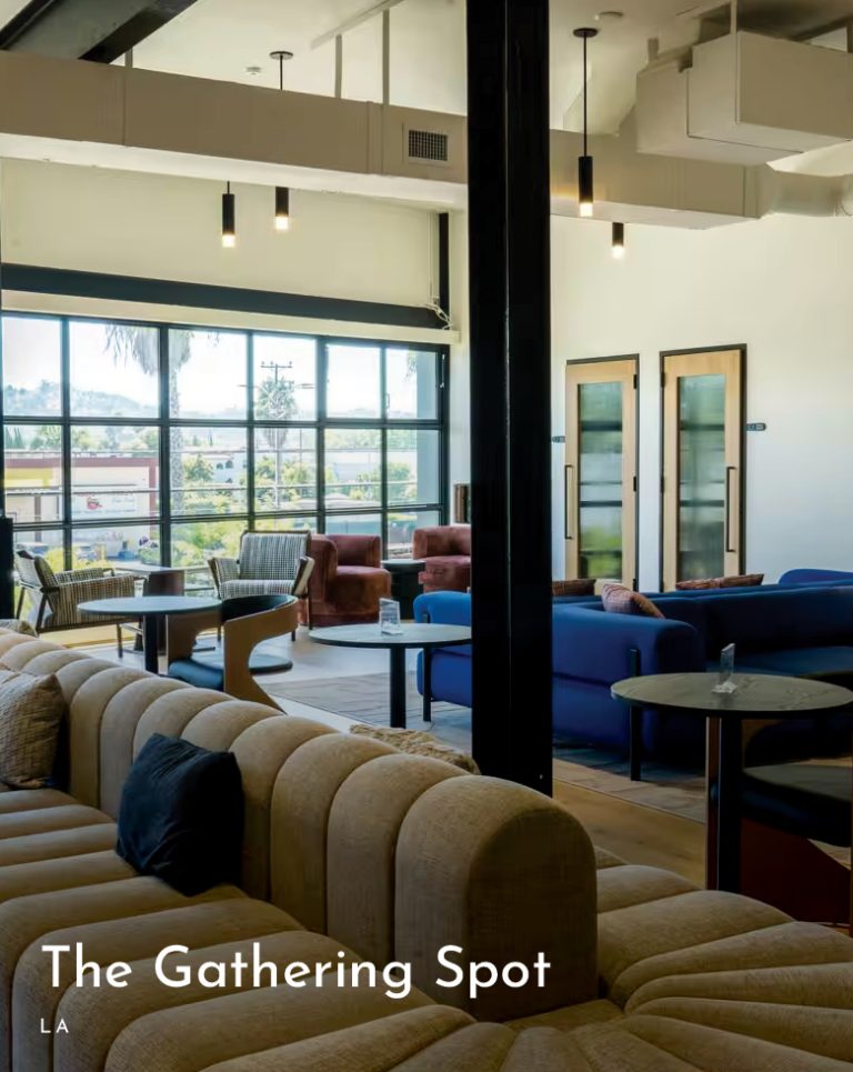 Sonato Alliance - The Jacquelyn