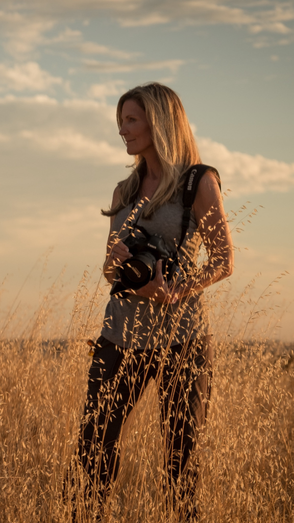 Welcome - The Jacquelyn