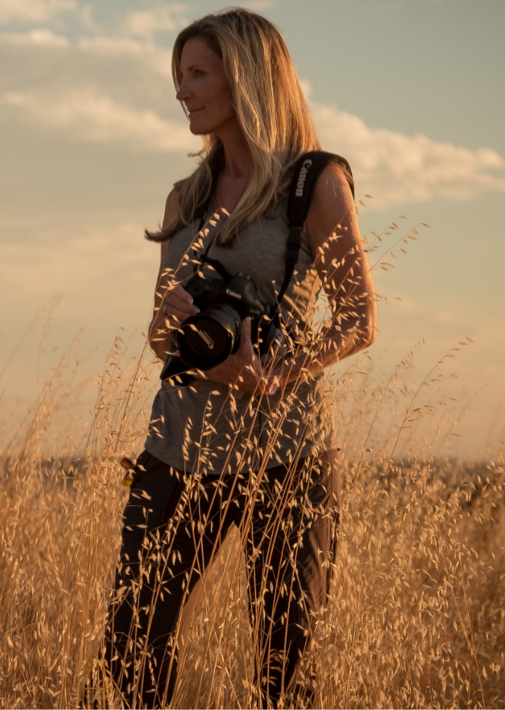 Welcome - The Jacquelyn